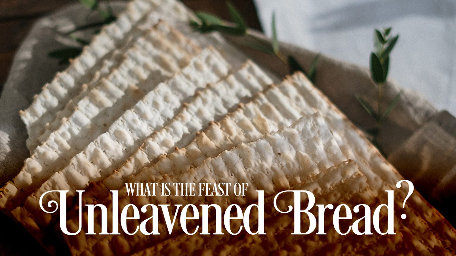 Feast of Unleavened Bread (חג המצות - Hag HaMatzot) | Voice of Judah Israel