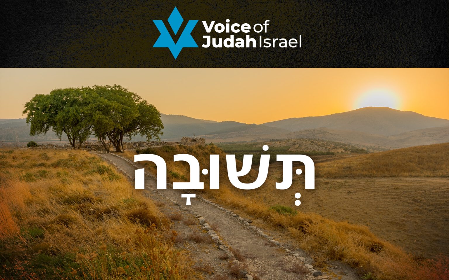 Hebrew Word of the Week Teshuvah (תְּשׁוּבָה) — The Way Back Home ...