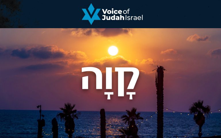 Hebrew Word of the Week —Qavah (קָוָה) — Hope That Renews Your Strength ...